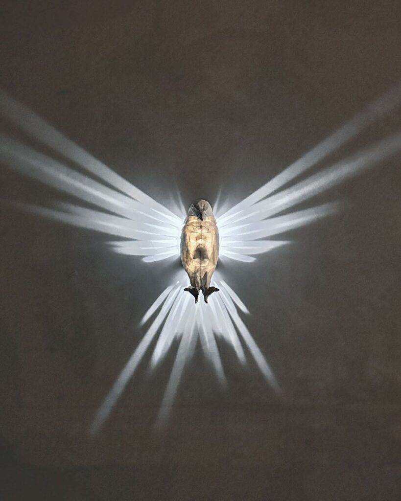 3D Animal LED Wall Light - Optimal Houses™