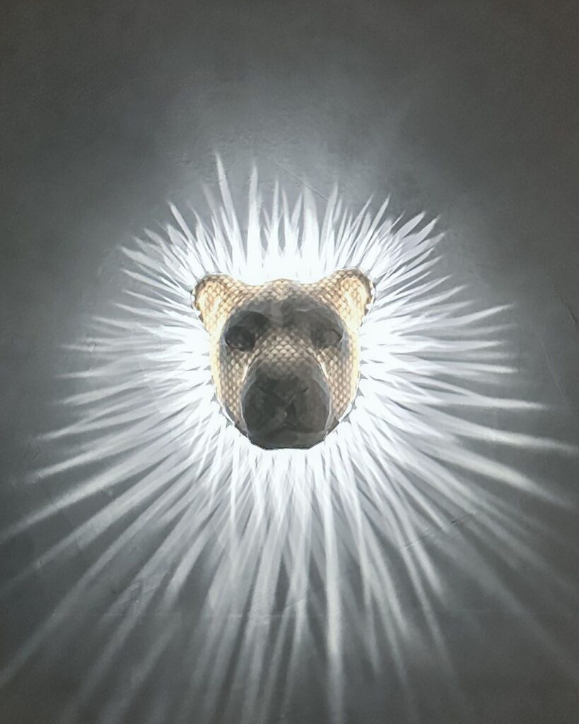 3D Animal LED Wall Light - Optimal Houses™