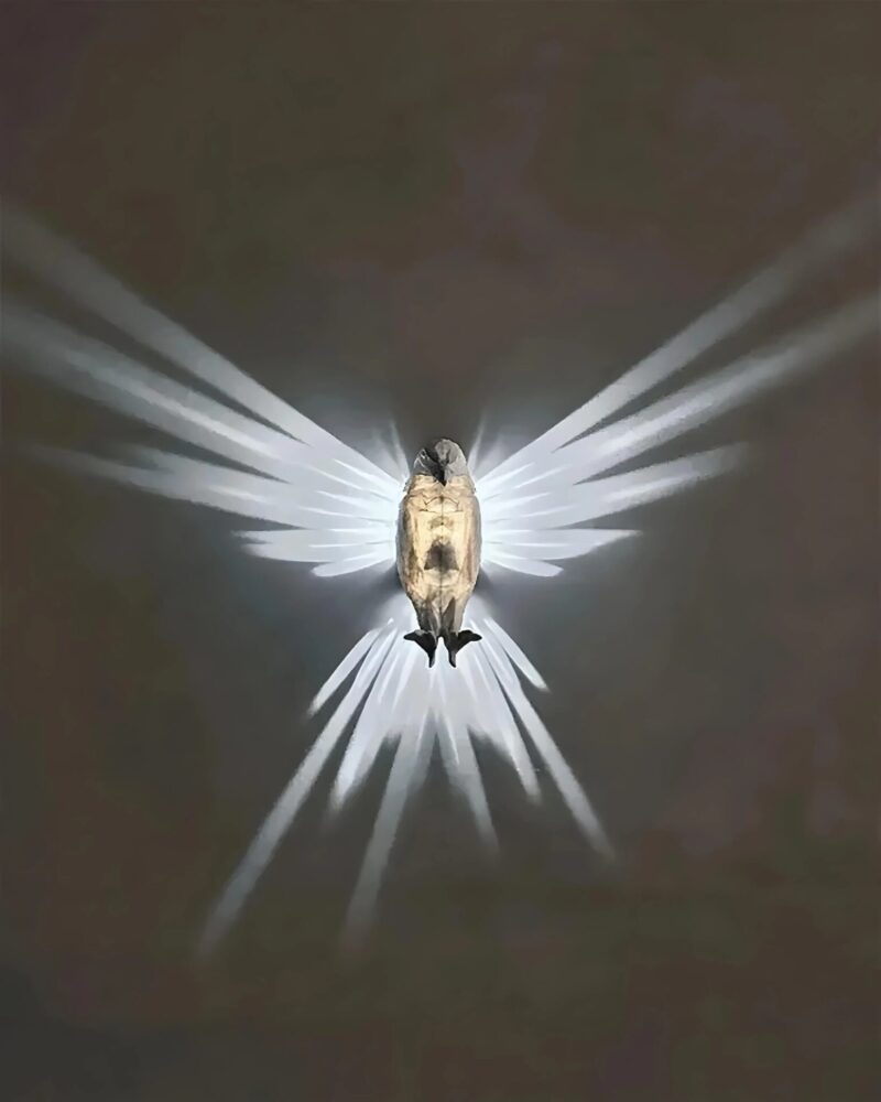 3D Animal LED Wall Light - Optimal Houses™